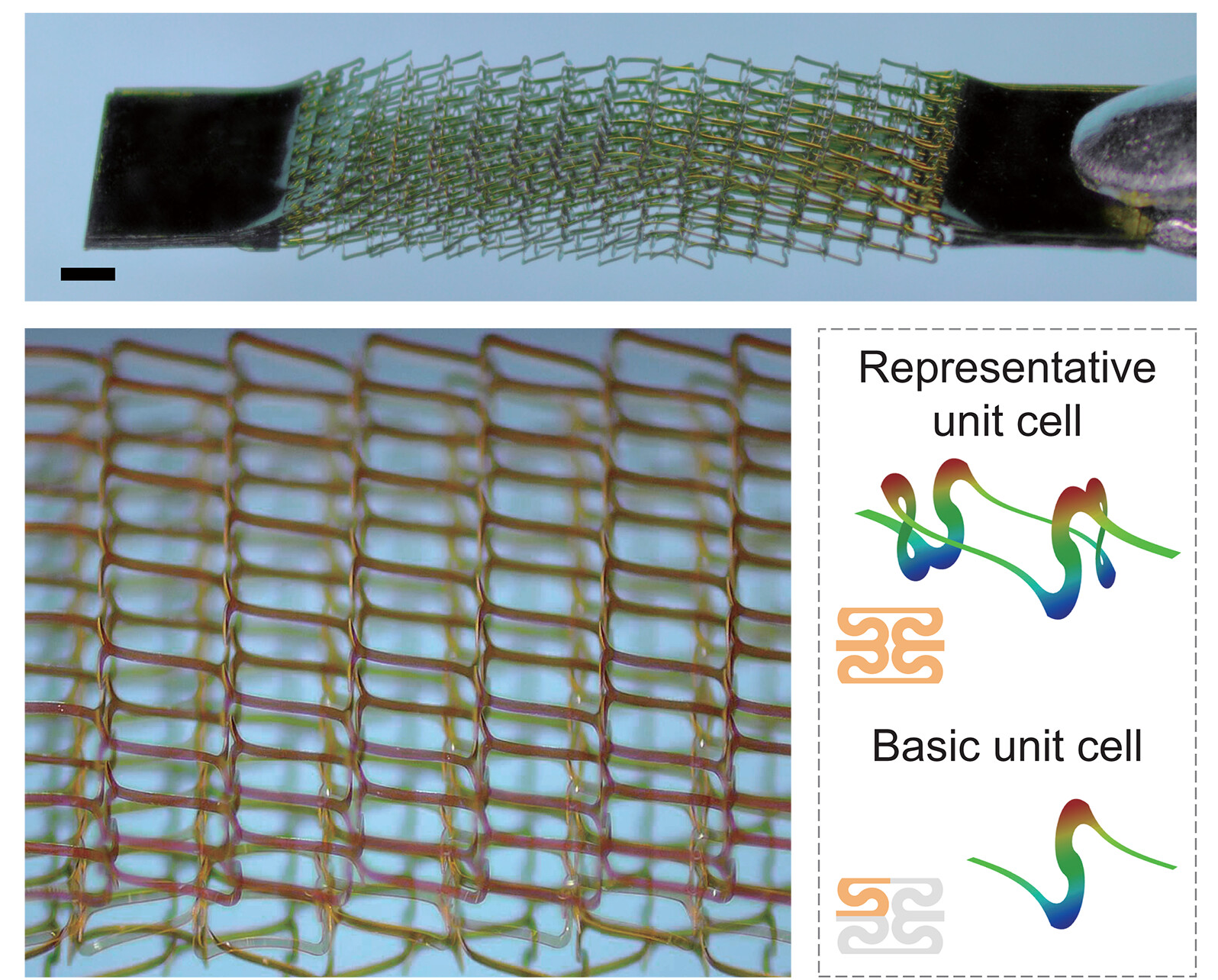 Shiwei Xu - Homepage